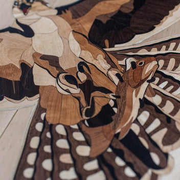 The Fight – Rubio Monocoat