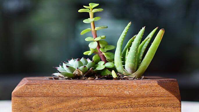 Mara Woodworks – Rubio Monocoat